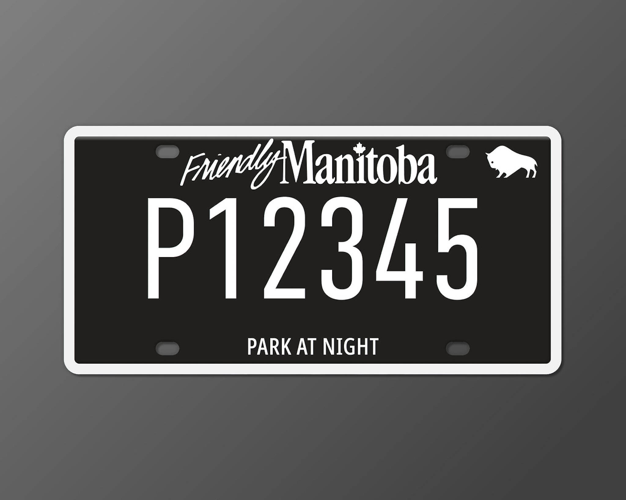 Campers, canoes or loons: vote on provincial park licence plate ...