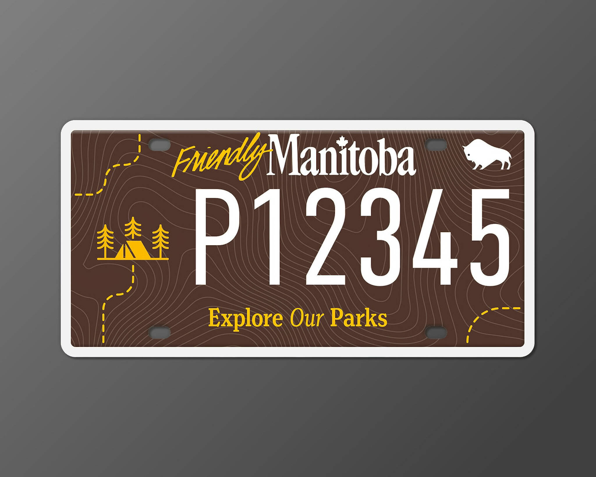 Campers, canoes or loons: vote on provincial park licence plate ...