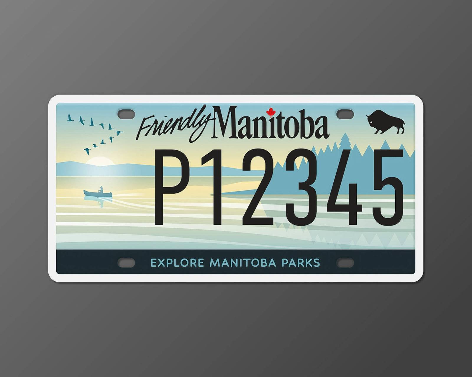 Campers, canoes or loons: vote on provincial park licence plate ...