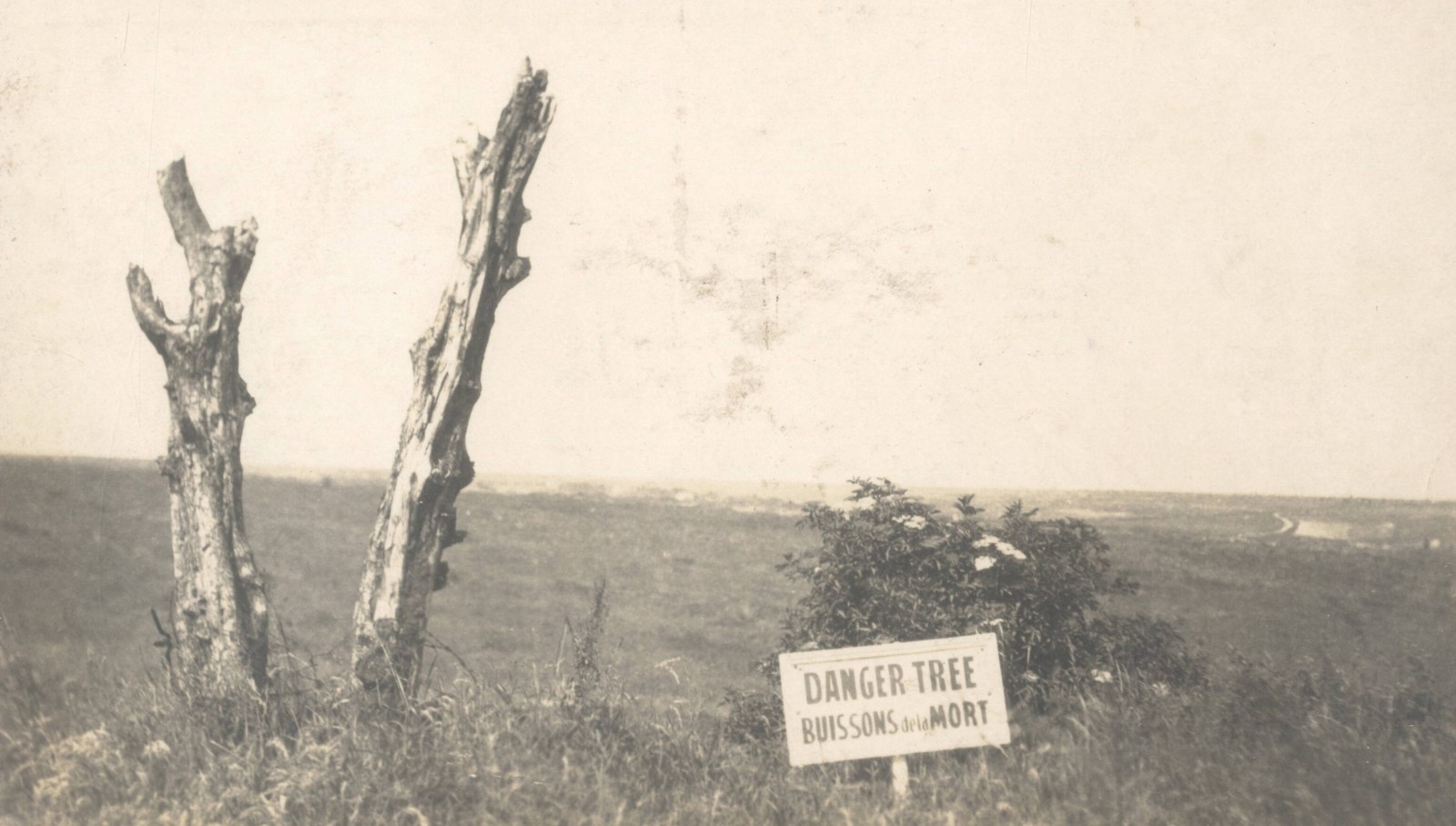 Danger tree installation in France marks ‘futility of loss’ for ...