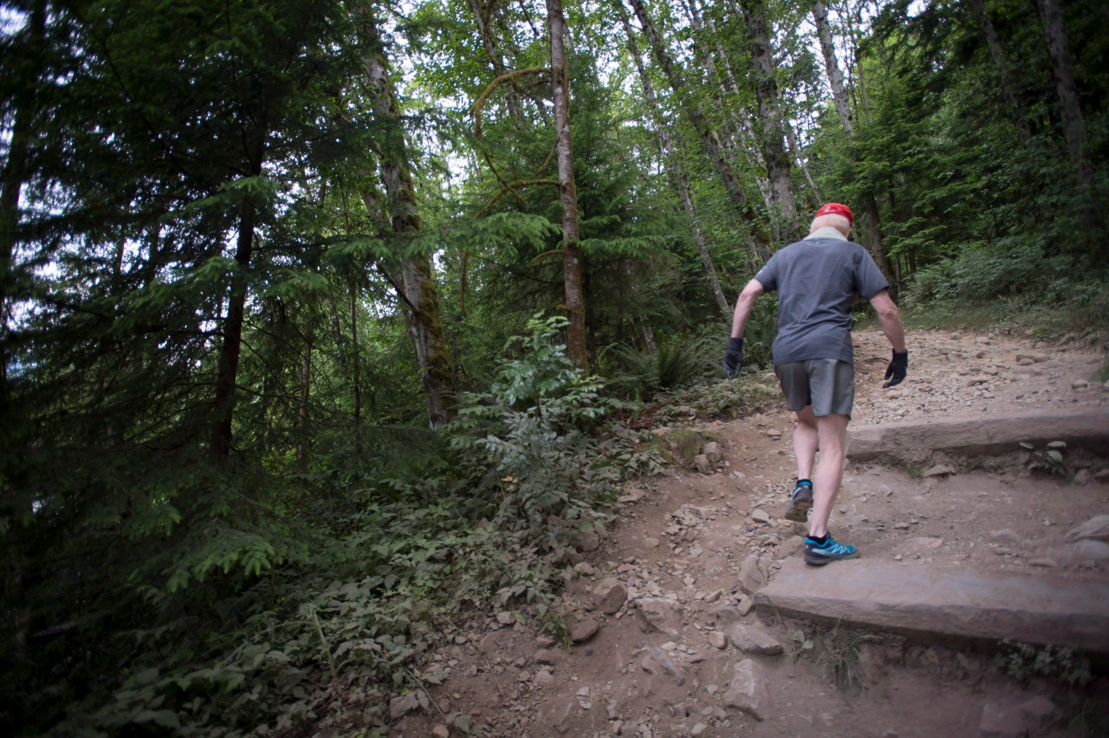 Metro Vancouver outside workers’ picket Grouse Grind trail – Winnipeg ...