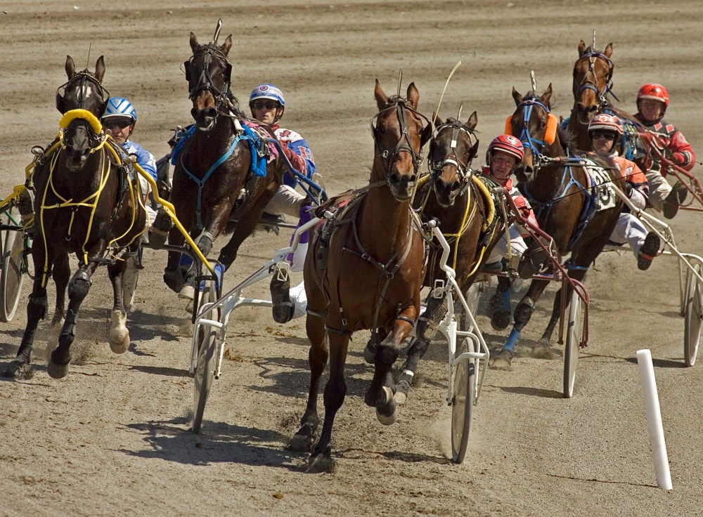 Odds On Mr Mamba draws No. 3 hole for Pepsi North America Cup harness ...