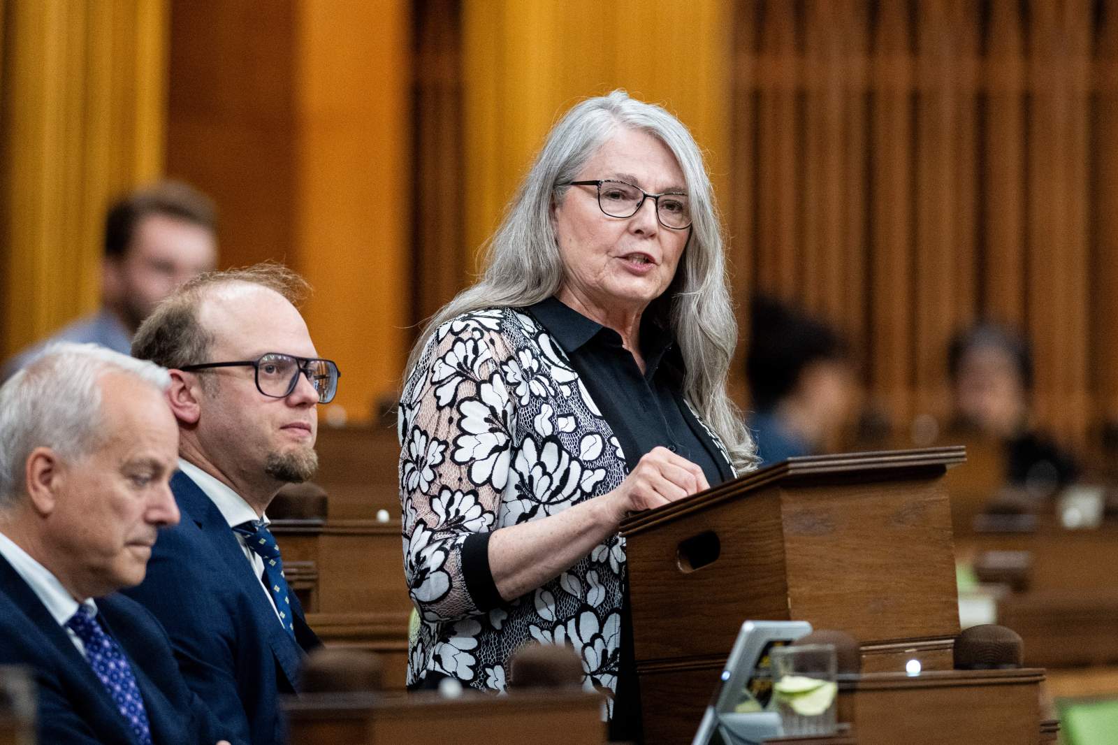 Saskatchewan Conservative MP Cathay Wagantall to resign before fall ...