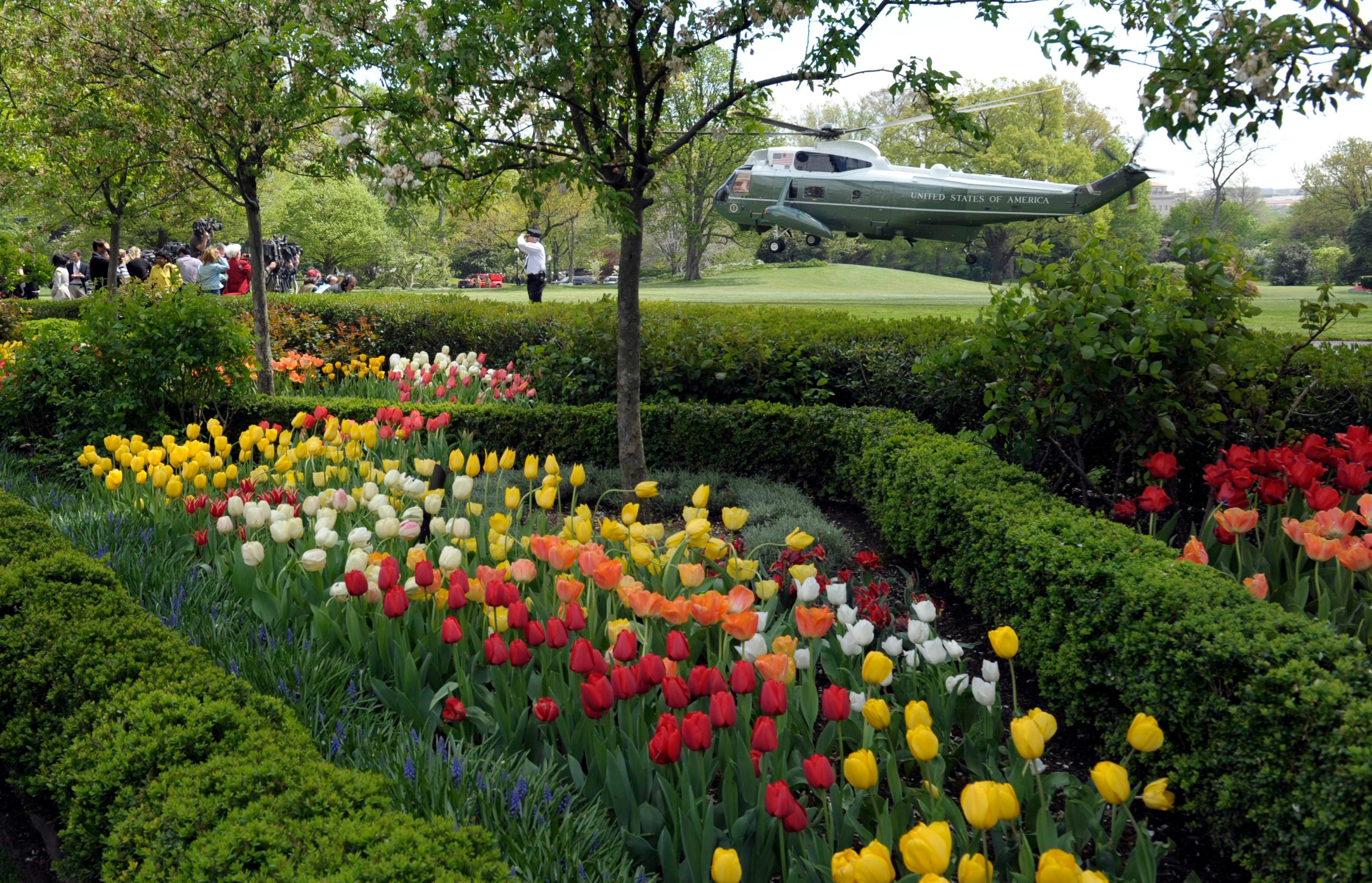 How the White House Rose Garden and its plantings have changed over the ...