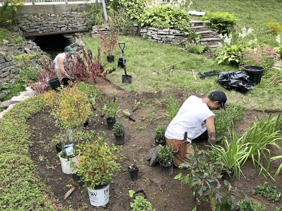 July in the garden: the pendulum swings – Winnipeg Free Press
